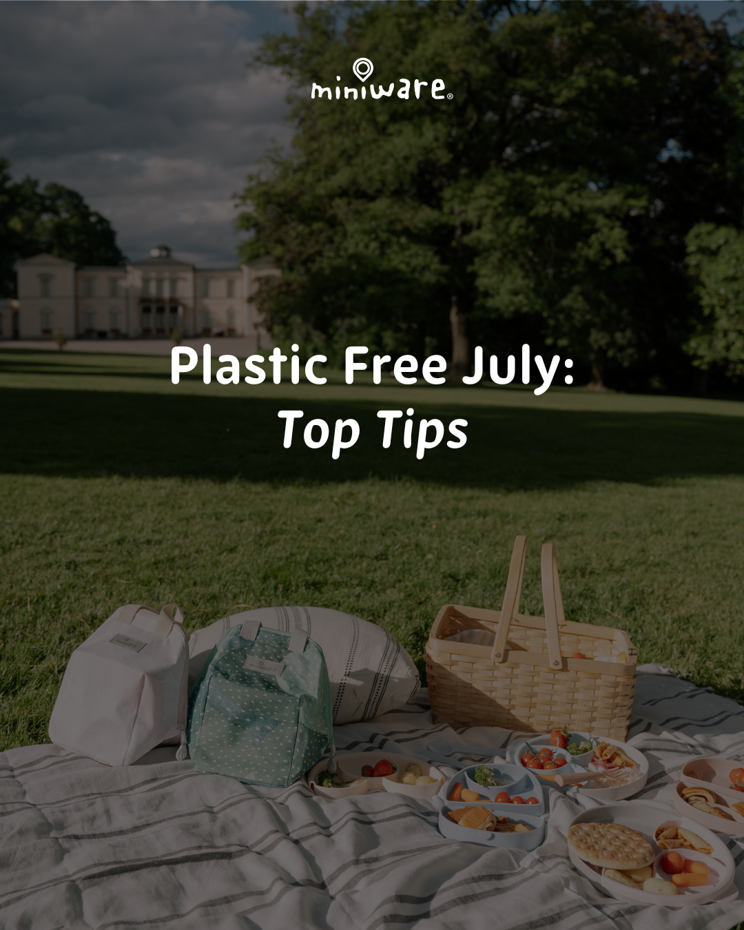 Plastic Free July: Top Tips to Reduce Waste – Miniware