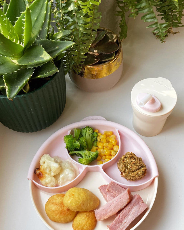 Creating Balanced Meals for toddlers is a Snap with Miniware’s Healthy ...