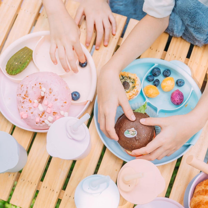 Healthy Picnic Food for Kids You Can Prepare and Pack in a Flash – Miniware